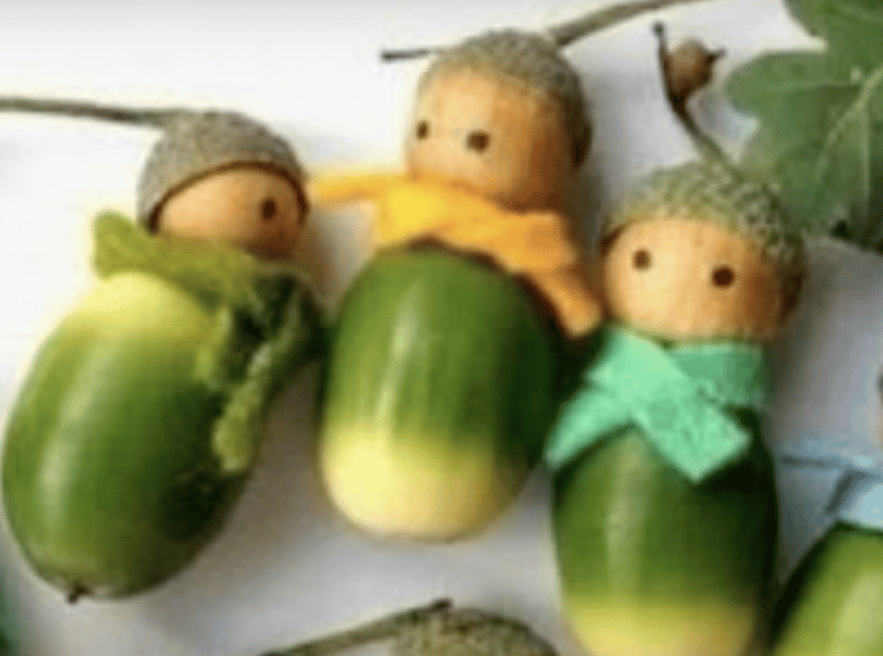 8 idées pour faire des deco DIY avec des glands