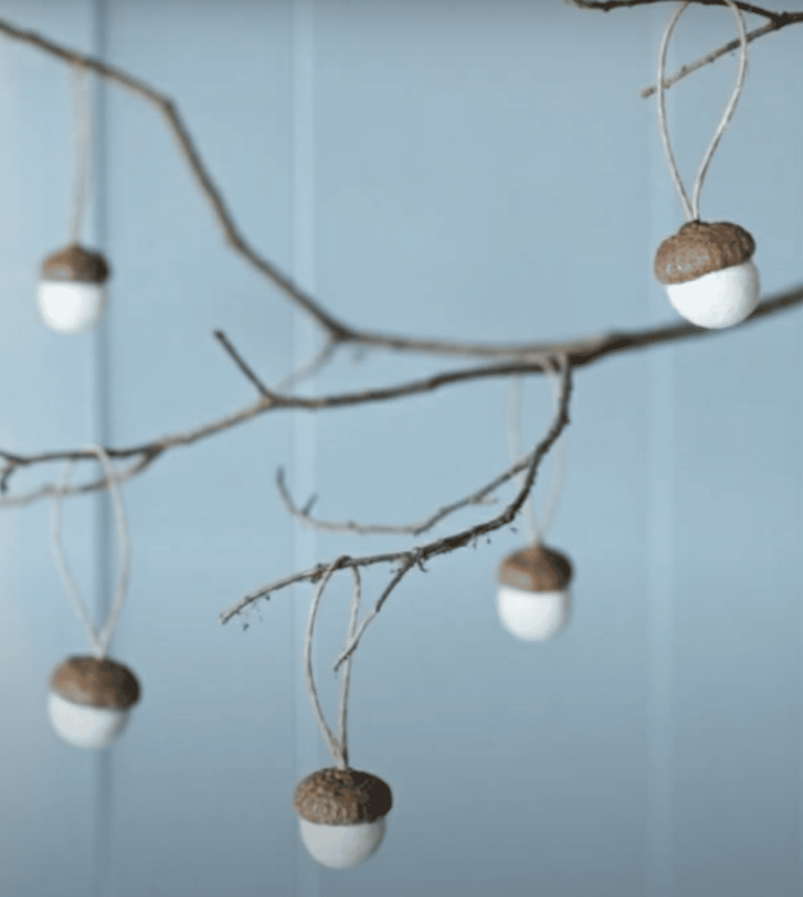 8 idées pour faire des deco DIY avec des glands